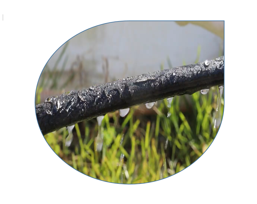 TOWARDS WATER AUTONOMY: UNIVERSITY INNOVATION AND TERRITORIAL IMPACT ...